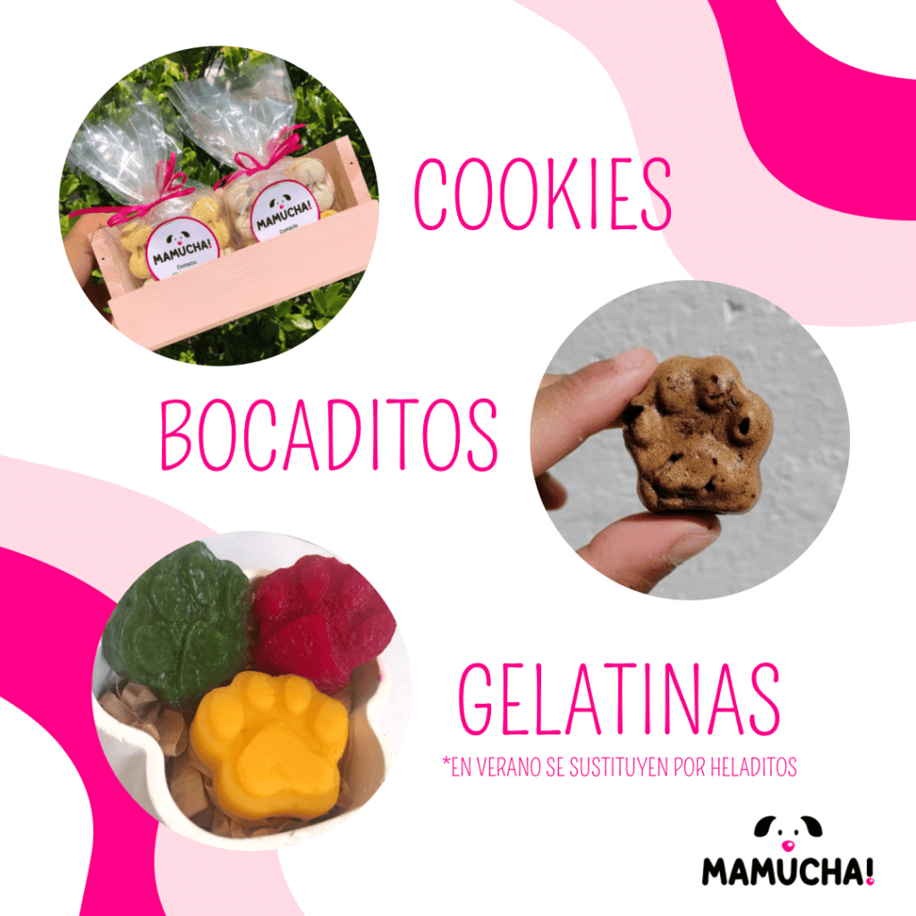 Pack Mensual — Mamucha Snacks