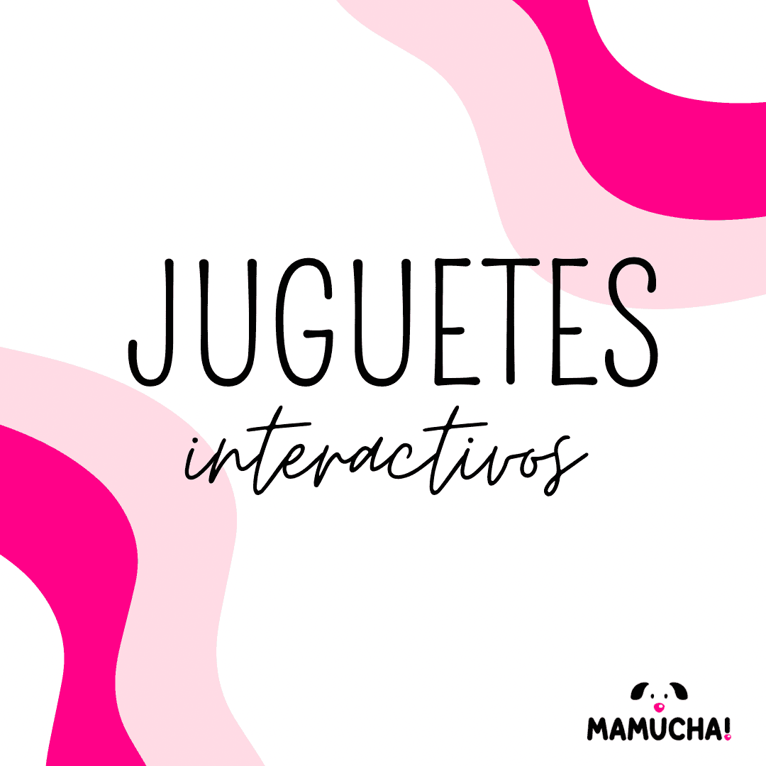 🐾Juguetes Interactivos — Mamucha Snacks